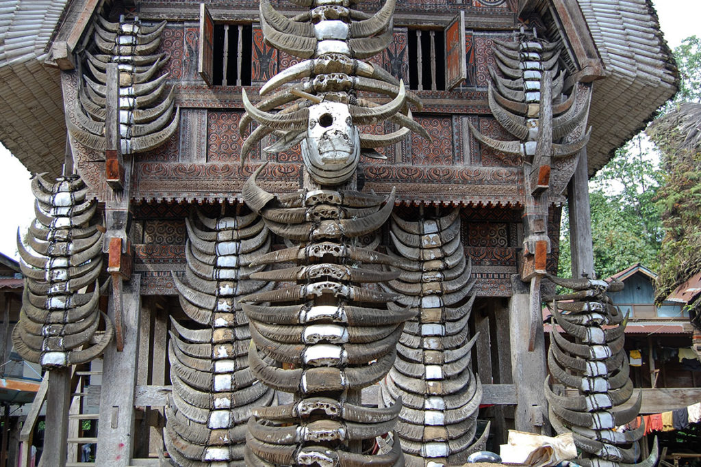 Torajaland: Bringing The World Of The Dead To Life - Jay Tindall