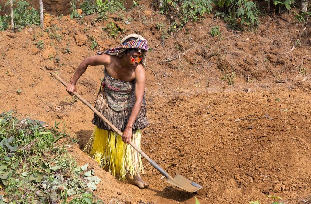 Hold Onto Your Wigs: Days Of Wild In Tari - Jay Tindall